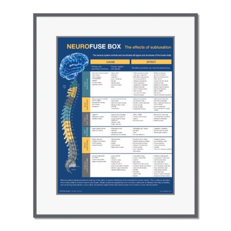 Neuro Fuse Handouts (NEW!) - Well Aligned
