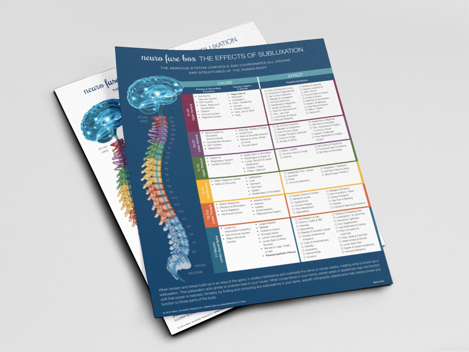 Neuro Fuse Handouts (Classic) - Well Aligned