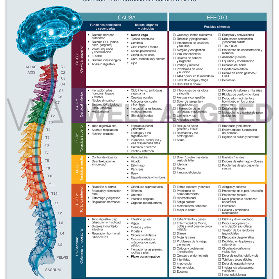 Neuro Fuse Posters (Classic) - Well Aligned